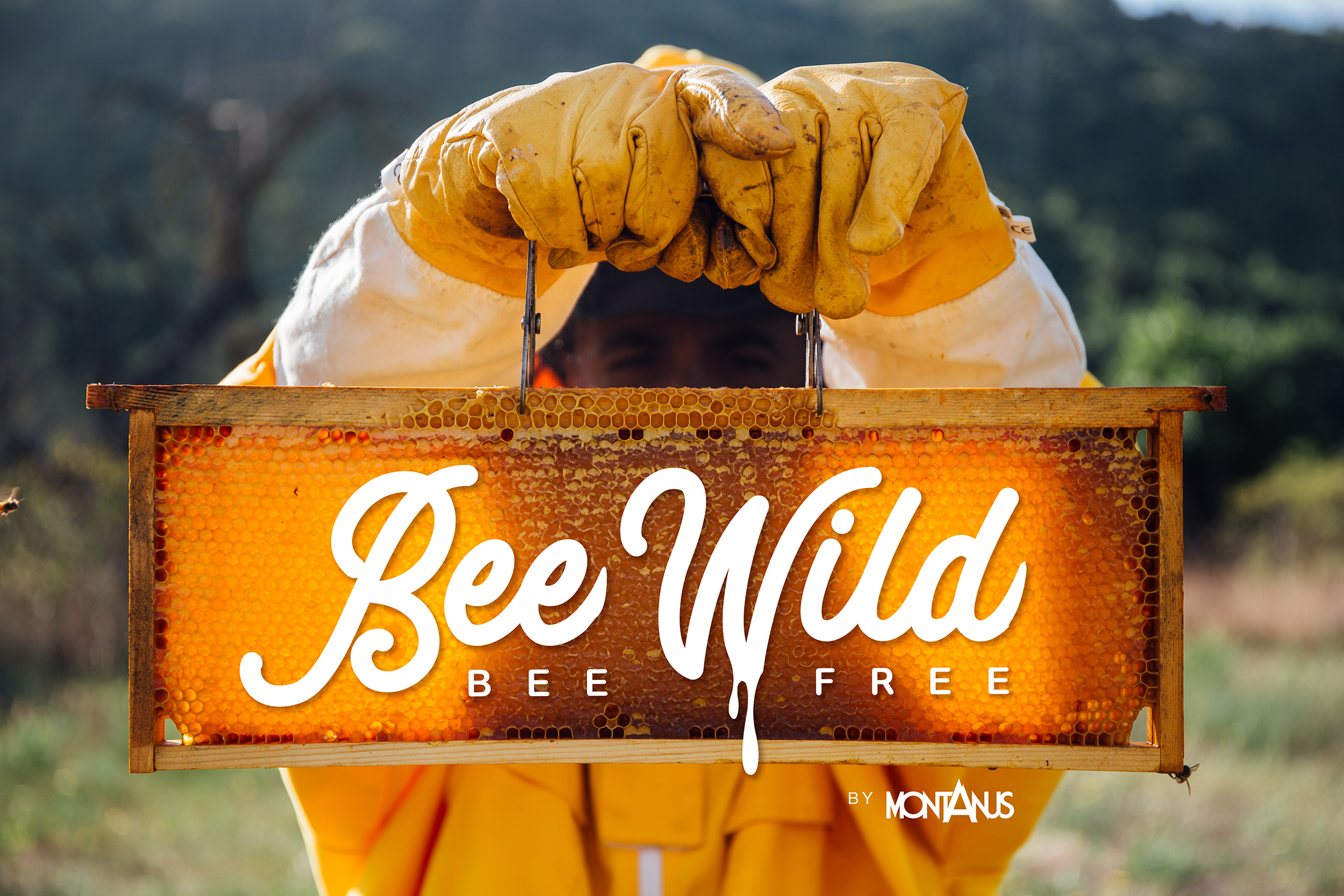 Bee Wild, Bee Free | KONA COG